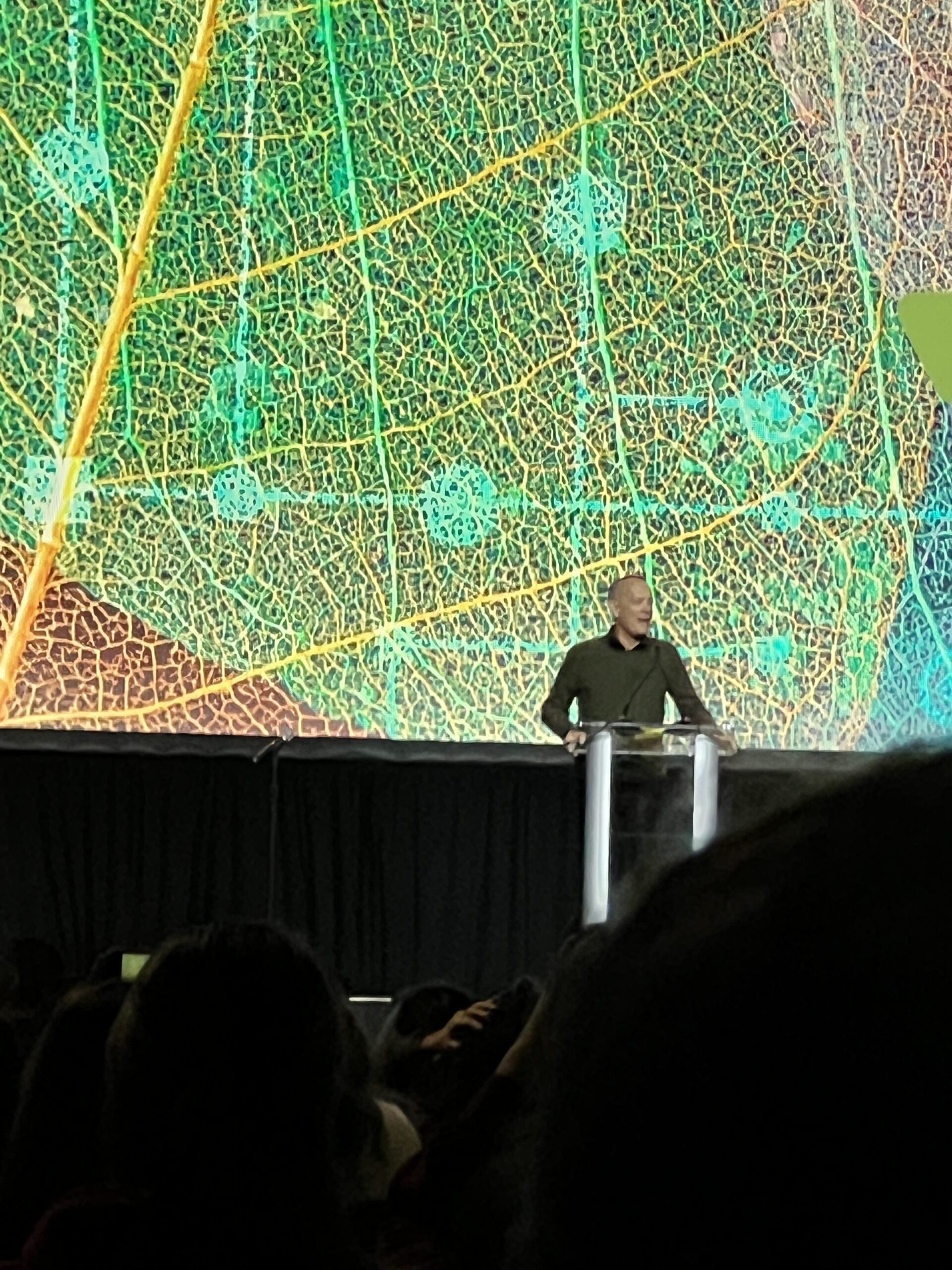 NCTE and My Picture Book Haul