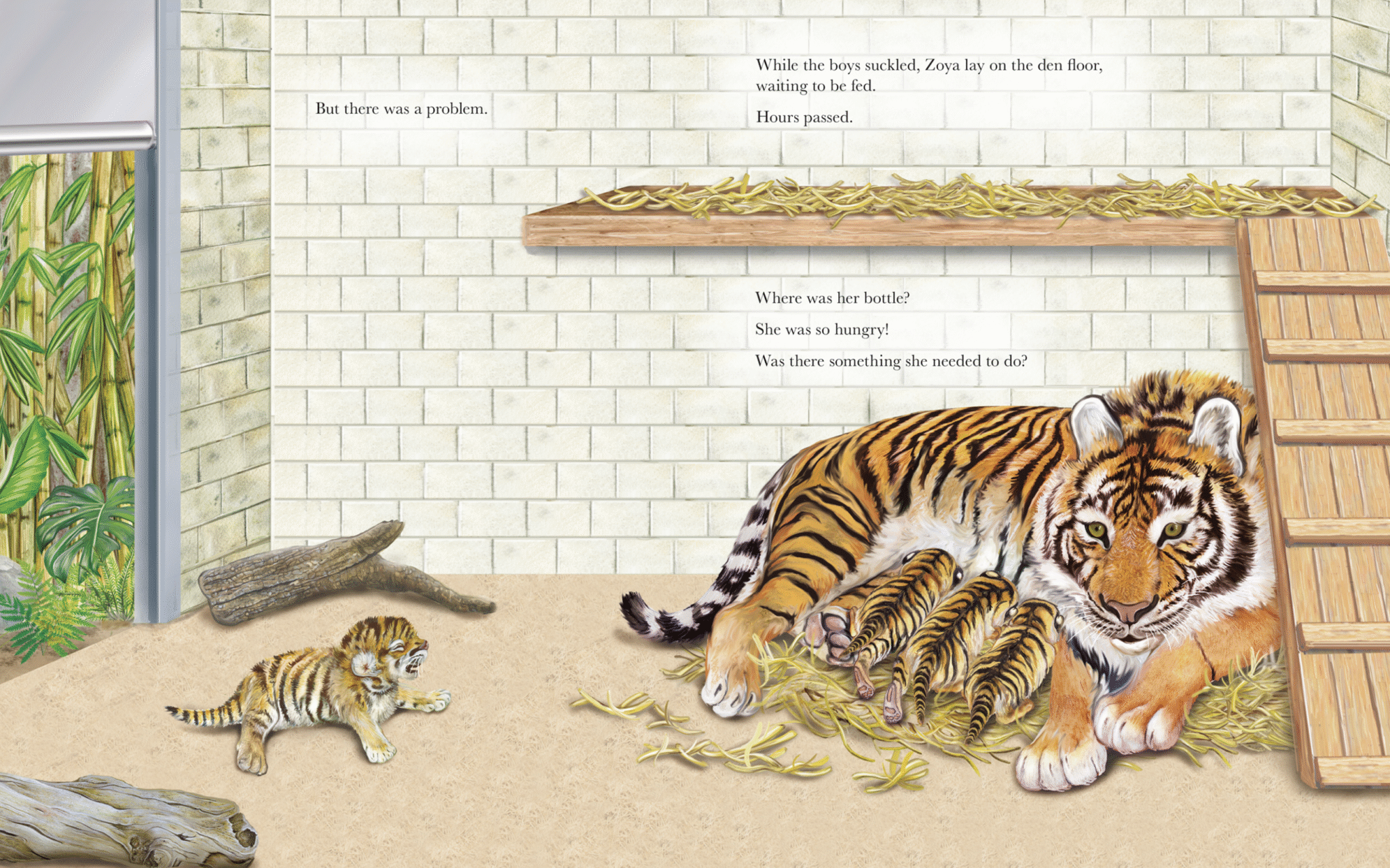 A Family for Zoya: the True Story of an Endangered Cub + a chat with ...